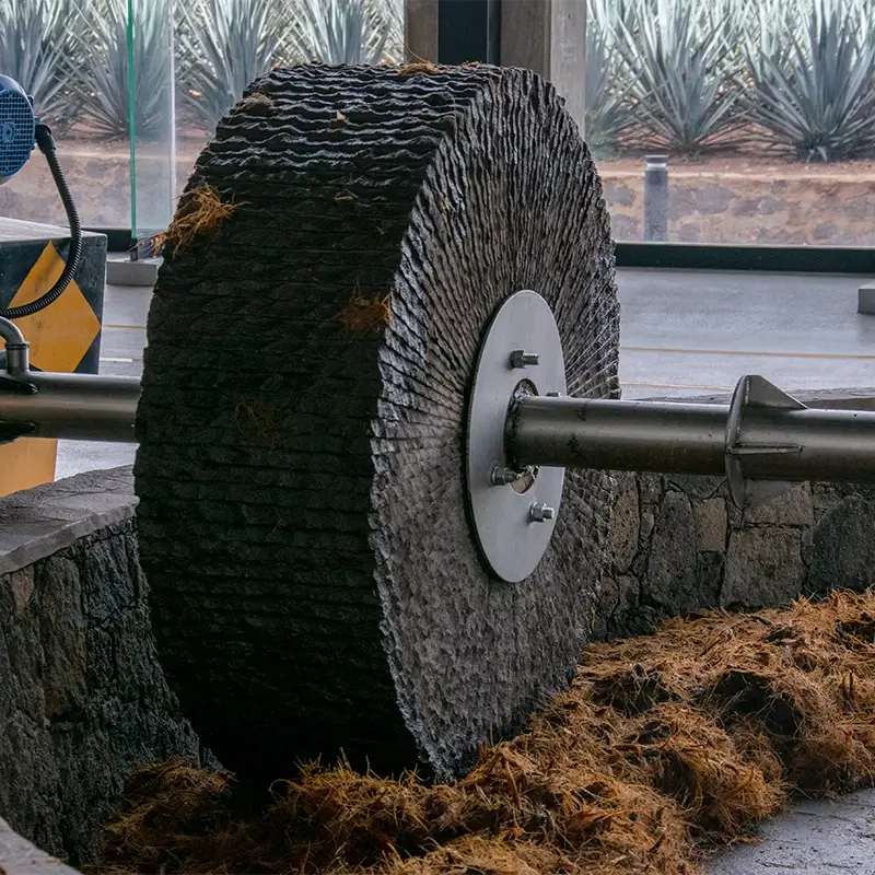 Distillery – Tequila Trujillo